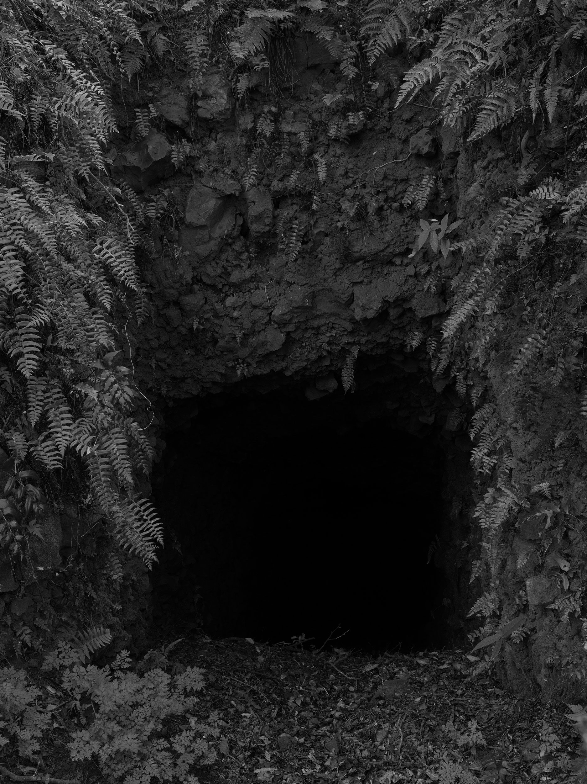 Blank Verse Florian Grosse blank-verse-florian-grosse